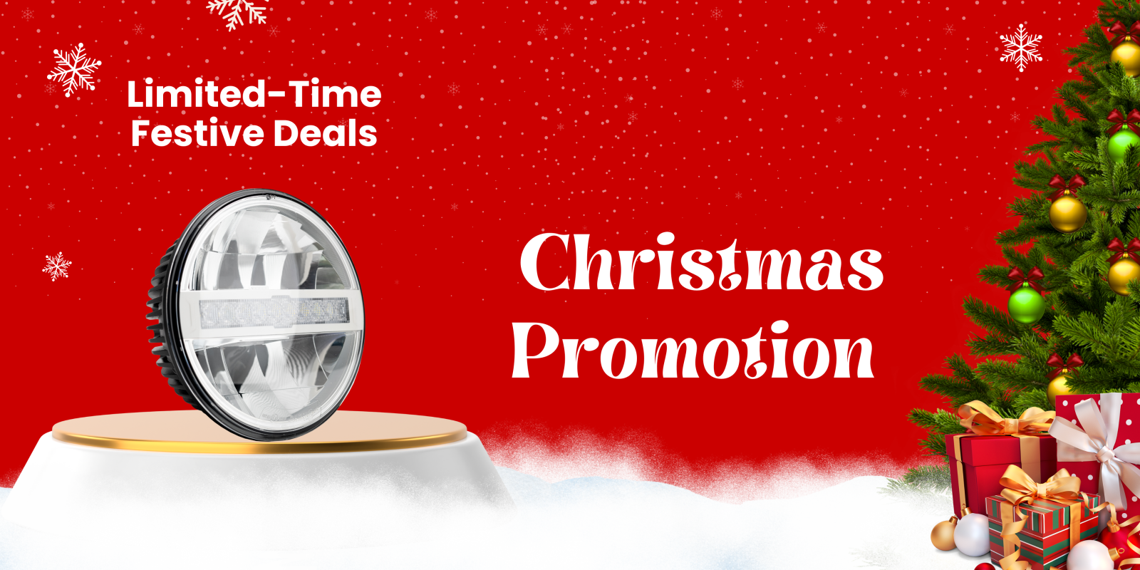 Christmas Promotion